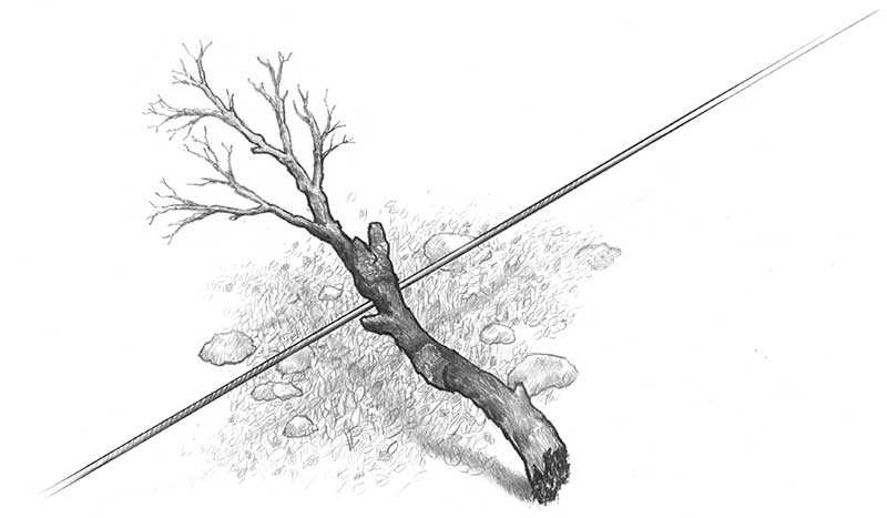 Basic Guide to Truck Winching - Example Pull - Pulling | WARN ...